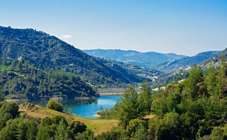 Discover Cyprus’s great outdoors, Paphos Forest - Cyprus Property Guides