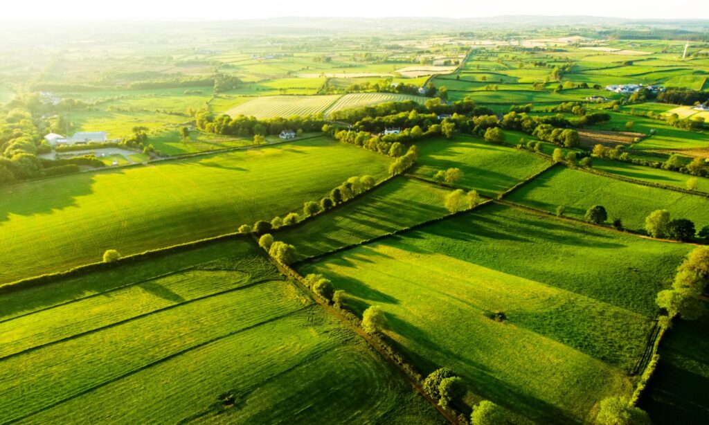 Buying Property in Ireland: The Complete Guide | Ireland Property Guides