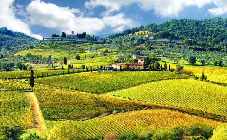 Italian farms offering agritourism - Italy Property Guides