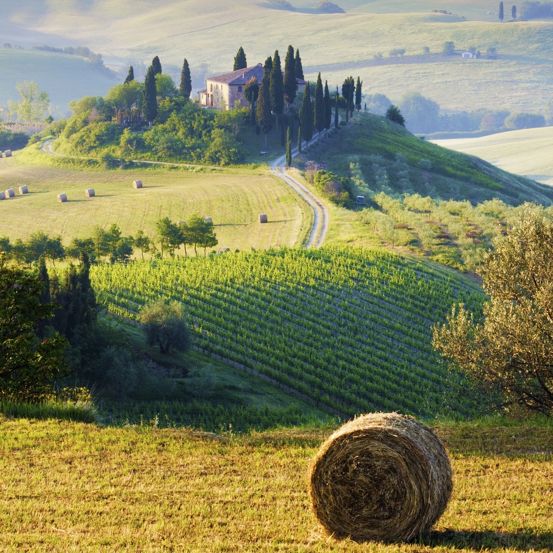 How to make the most of living in the Italian countryside | Italy ...
