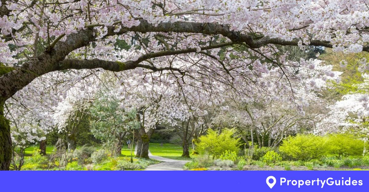 Full of the joys of spring in Canada - Canada Property Guide