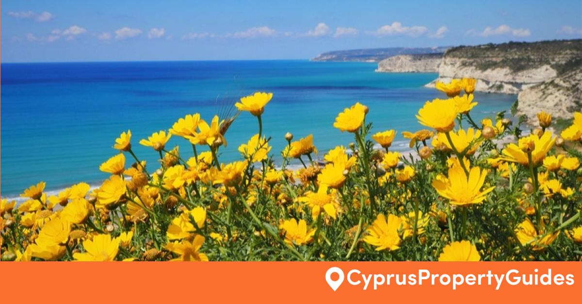 An update from Cyprus: Spring and a "new normal" holiday - Cyprus ...