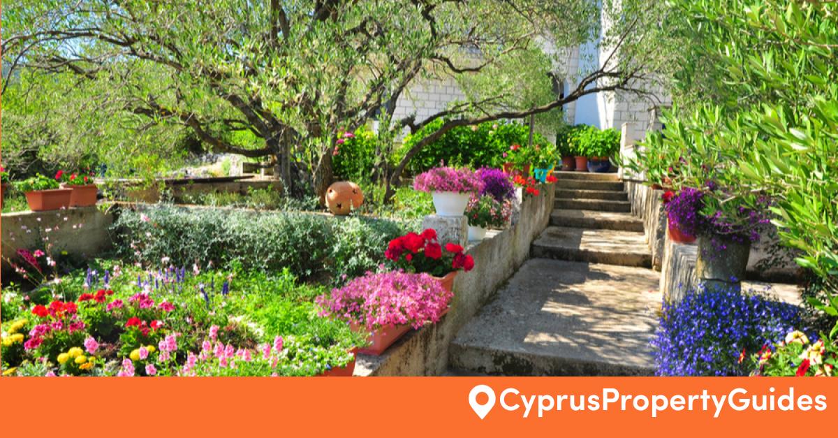Gardens and outdoor space for your property in Cyprus - Cyprus Property ...