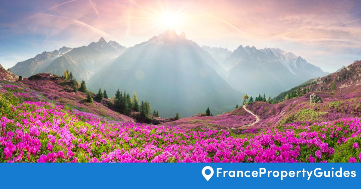 7 signs spring is returning to France - France Property Guides