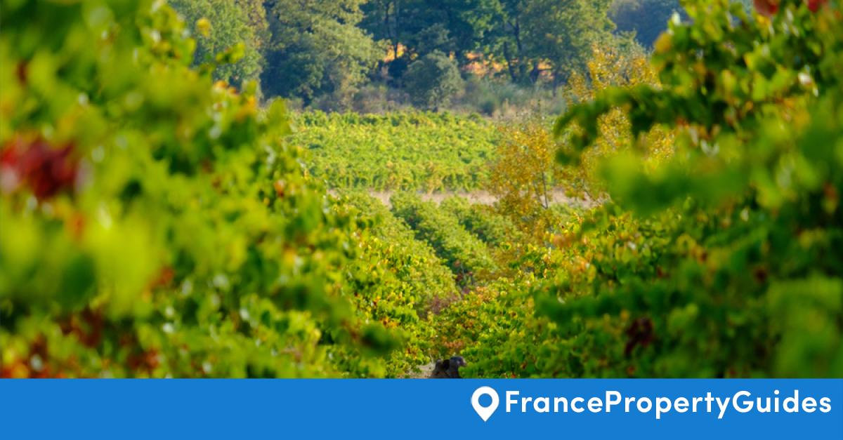 The joys and perils of country living in France - France Property Guides