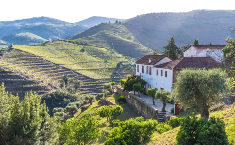 A new life and a new business in Portugal? - Portugal Property Guides