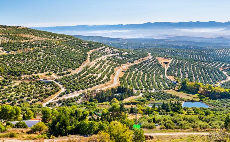 Living in rural Spain - Spain Property Guides