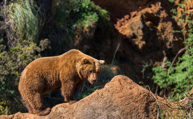 Ponga: the Spanish town that will pay you £2,600 to live there - Spain ...