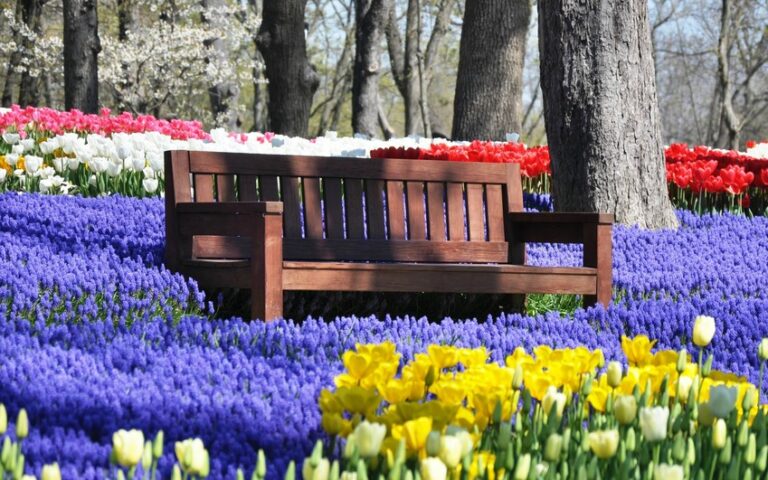 Plan your garden in Turkey carefully to create your own little Eden